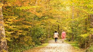 Village of Manchester VT | Official Town Meetings & Events